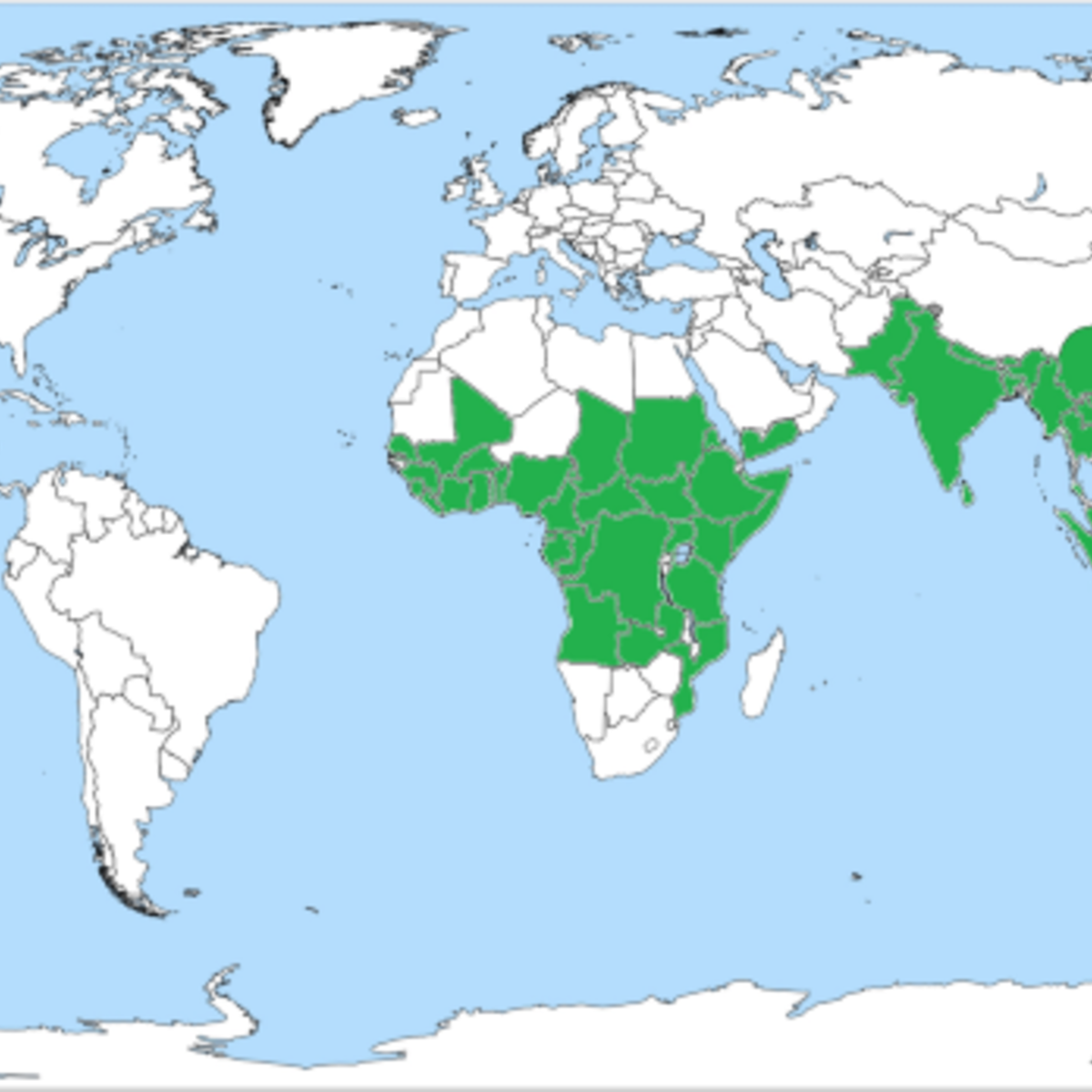 Foliar characterization of salparni – a remarkable medicinal plant