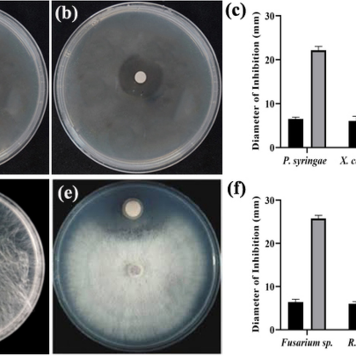 Isolation and characterization of Bacillus subtilis RZS-01 isolate from ...
