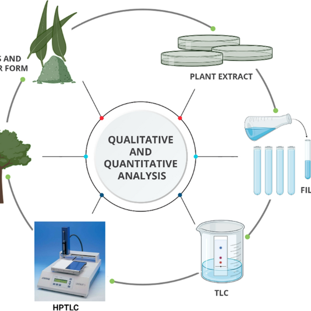 Qualitative and quantitative phytochemical screening and chemical fingerprint analysis of ...