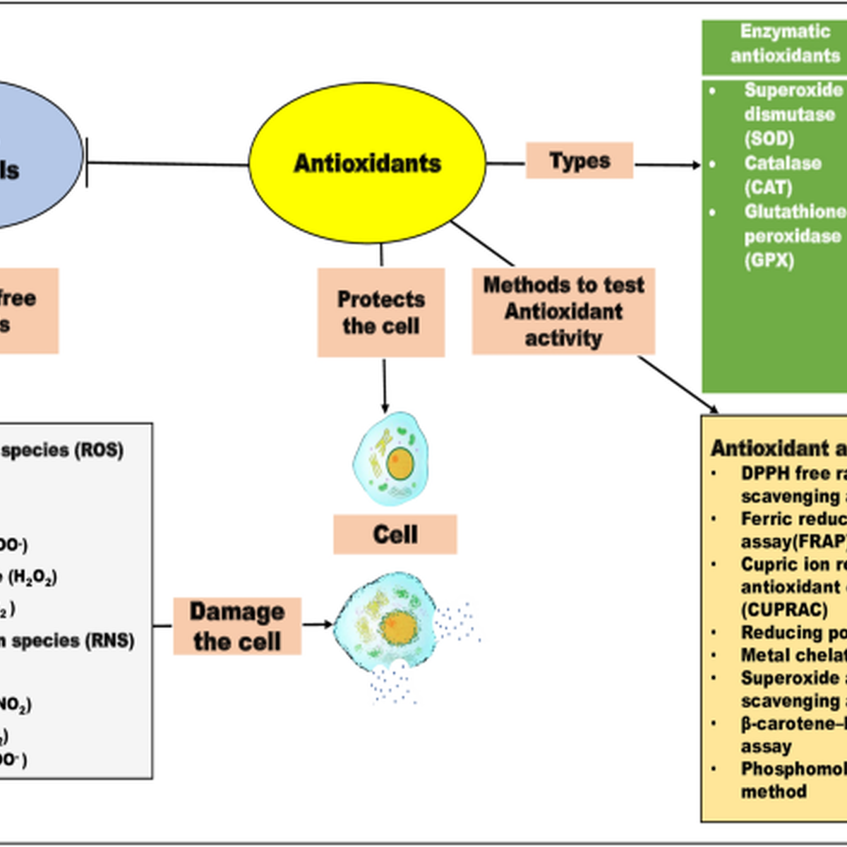 An insight into quantitative, qualitative, and analytical methods for ...