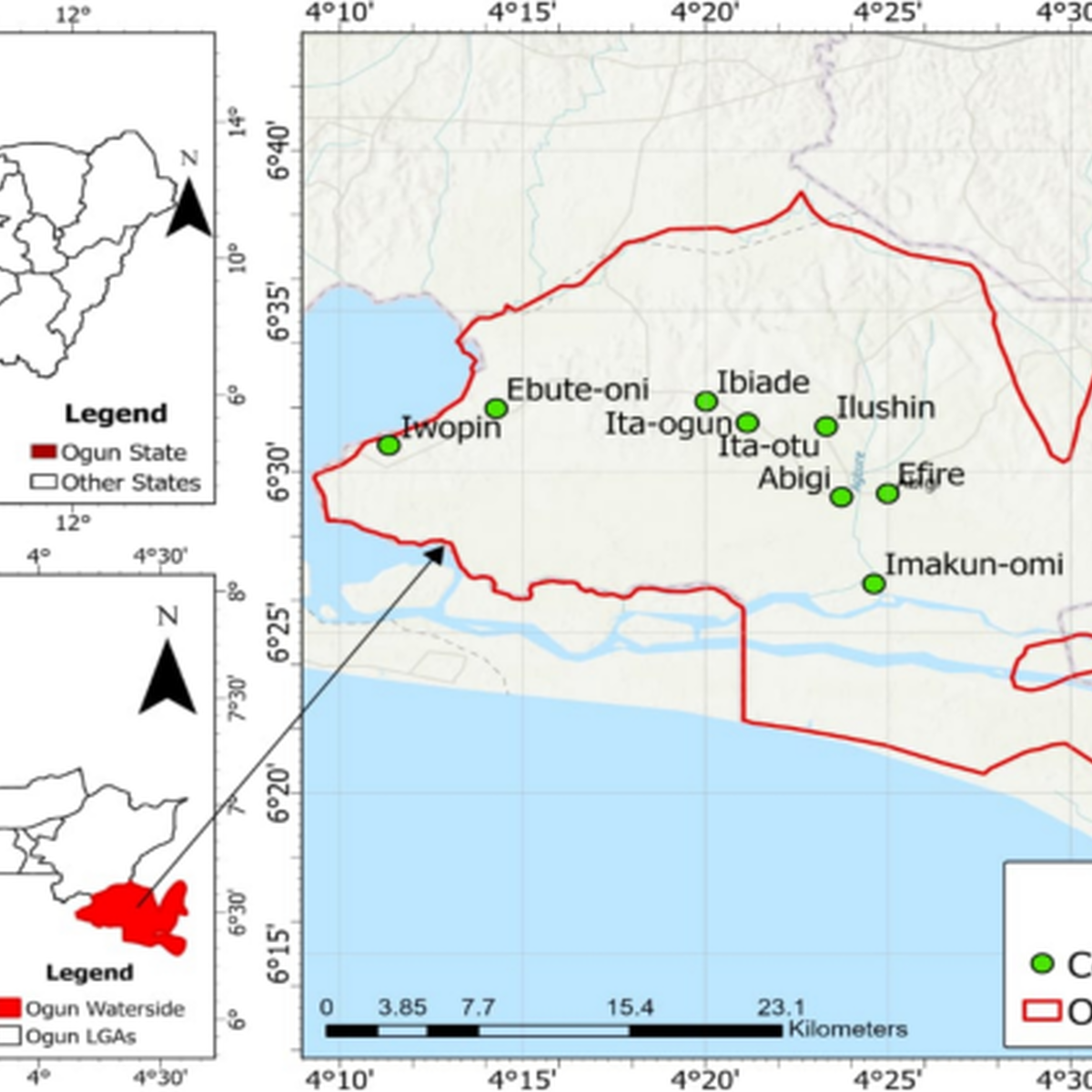 Ethnobotanical study of wild edible vegetables used in agri-foods and ...