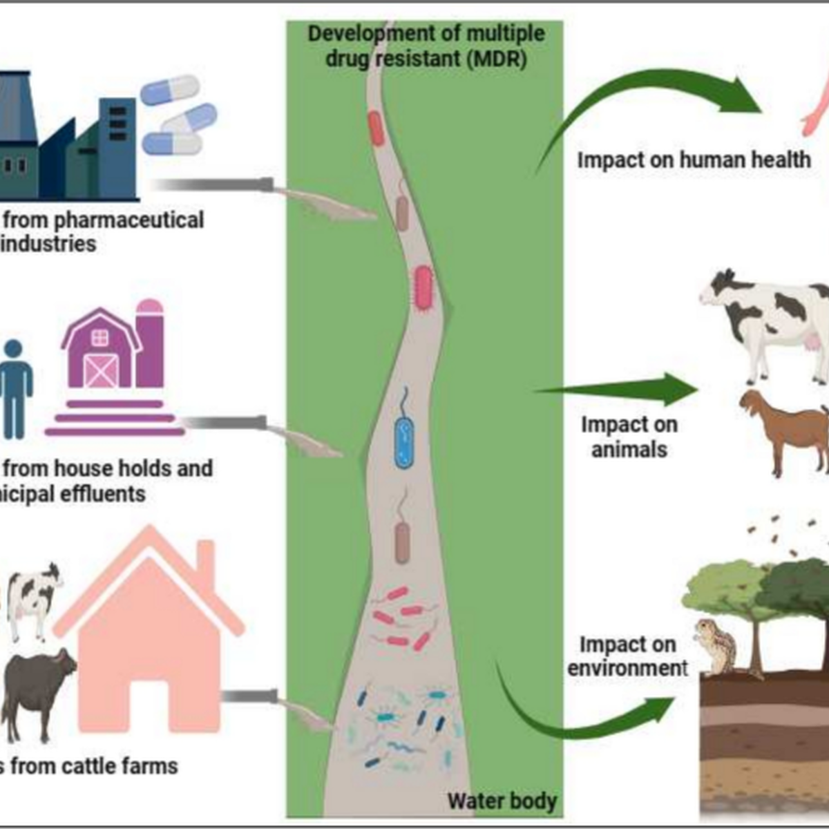 Mitigating antibiotic pollution in wastewater by harnessing the potential of microalgae-based ...
