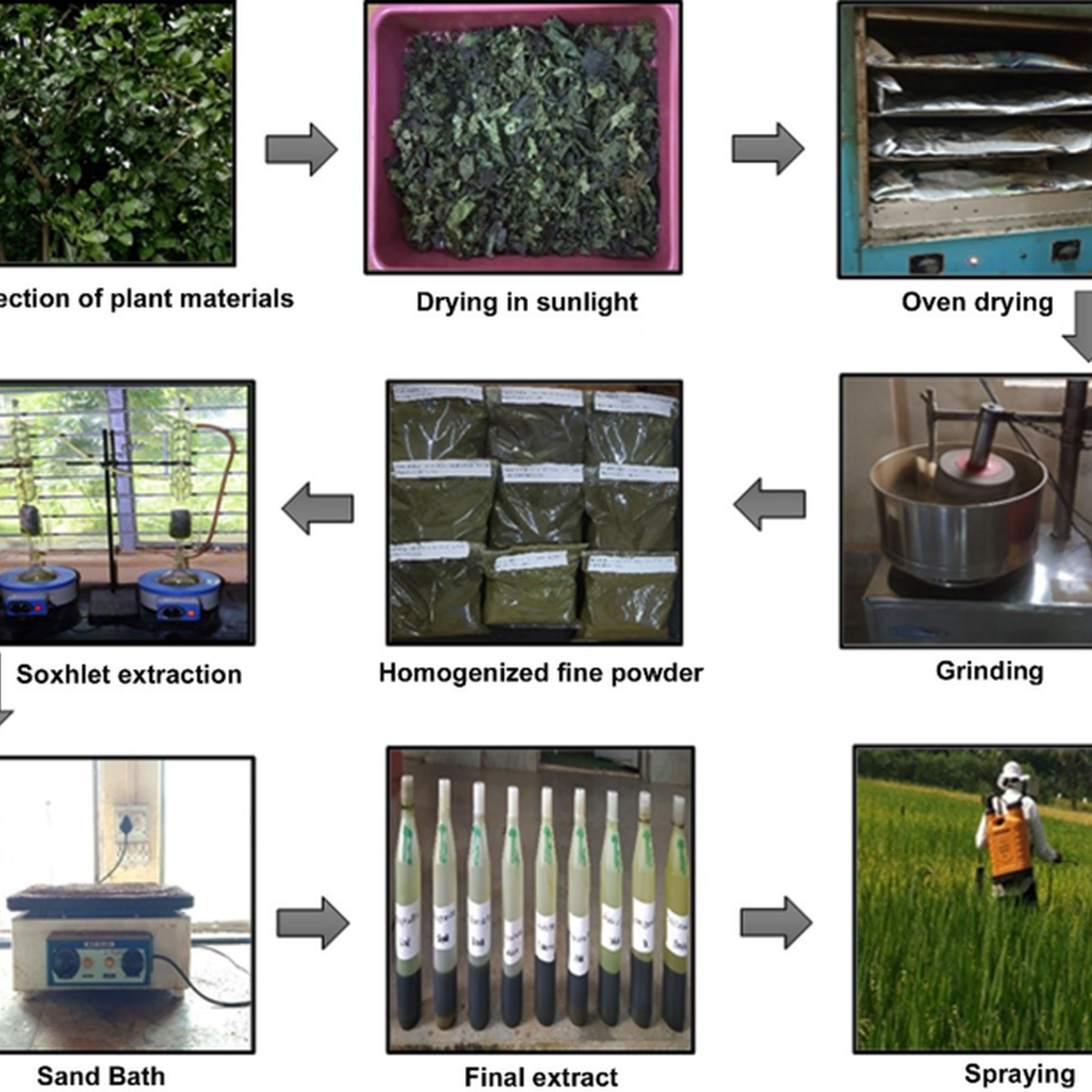 Assessing the efficacy of solvent based botanical extracts on major ...