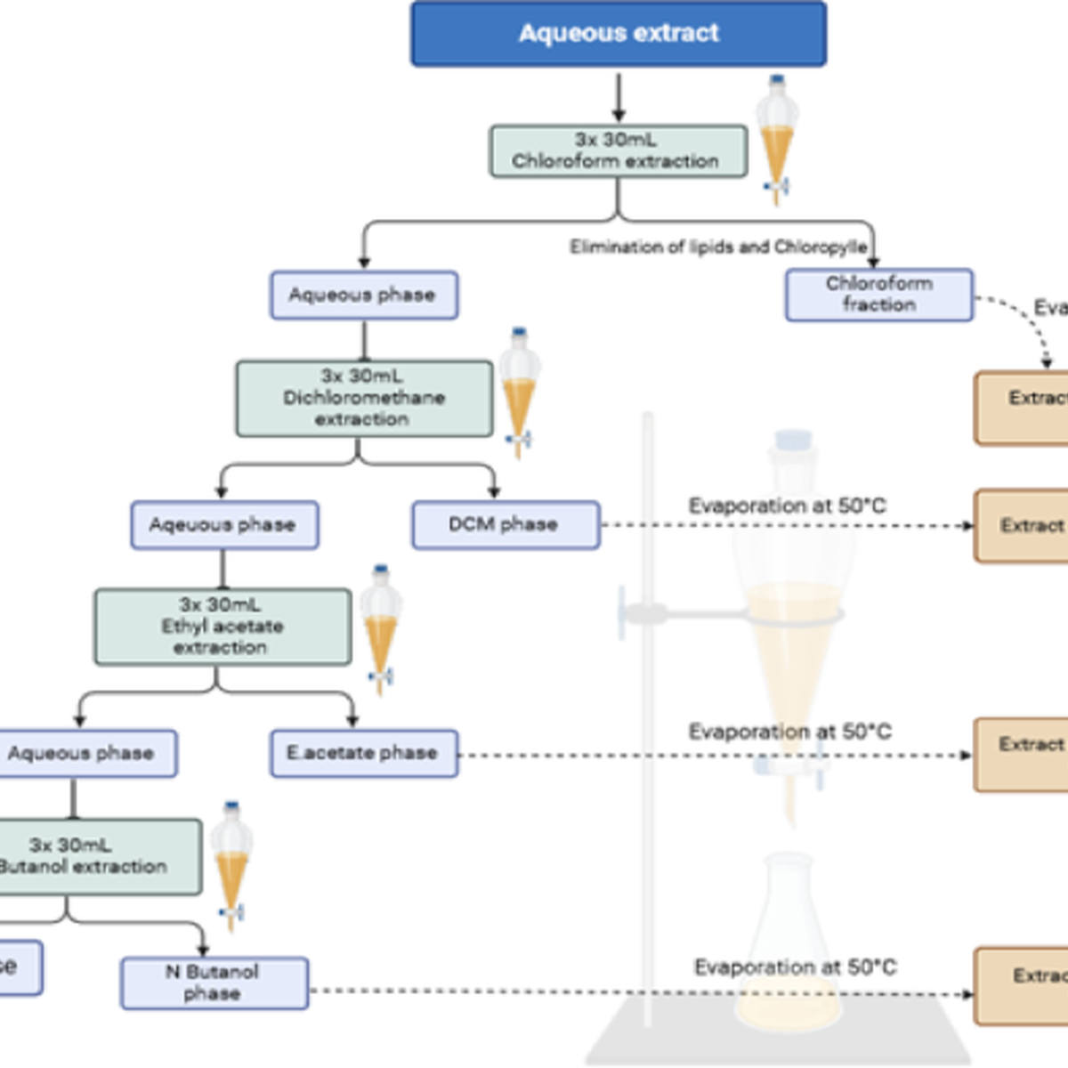 GC–MS and FTIR characterization, unveiling phenolic content ...